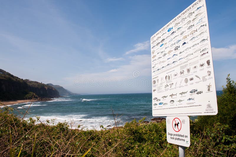 Fishing in Australia editorial stock image. Image of outdoors - 53953899