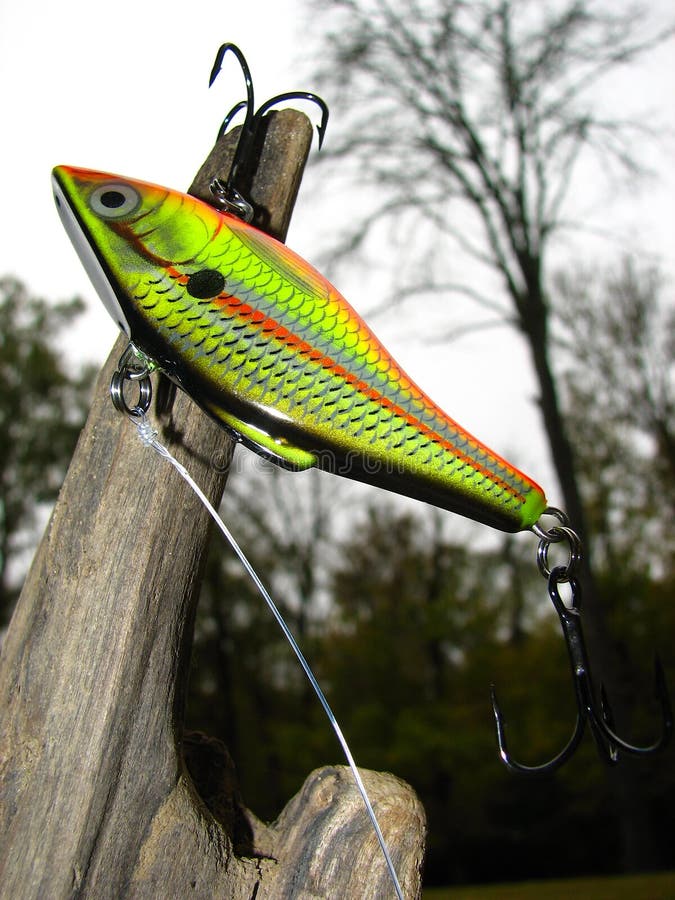 Fishing bait stock image. Image of bait, hook, outdoor - 1595767