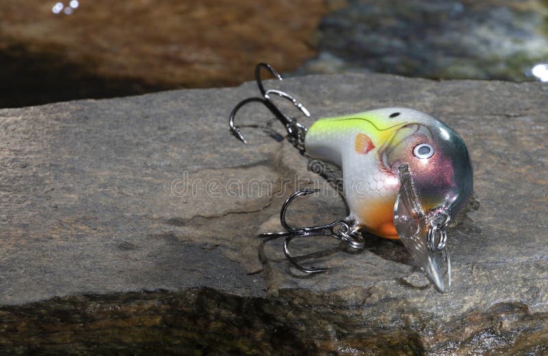 Fishing Bait on a Rock with Water Behind Stock Image - Image of ...