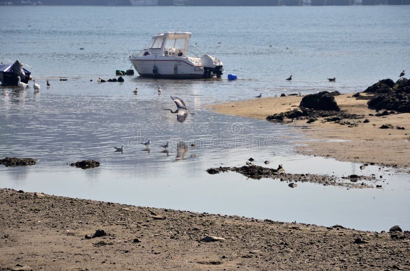 River Douro editorial photography. Image of outdoor - 111675407