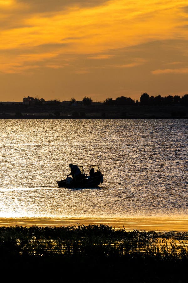 Moses-in-a-boat stock image. Image of lily, raft, purple - 163170667