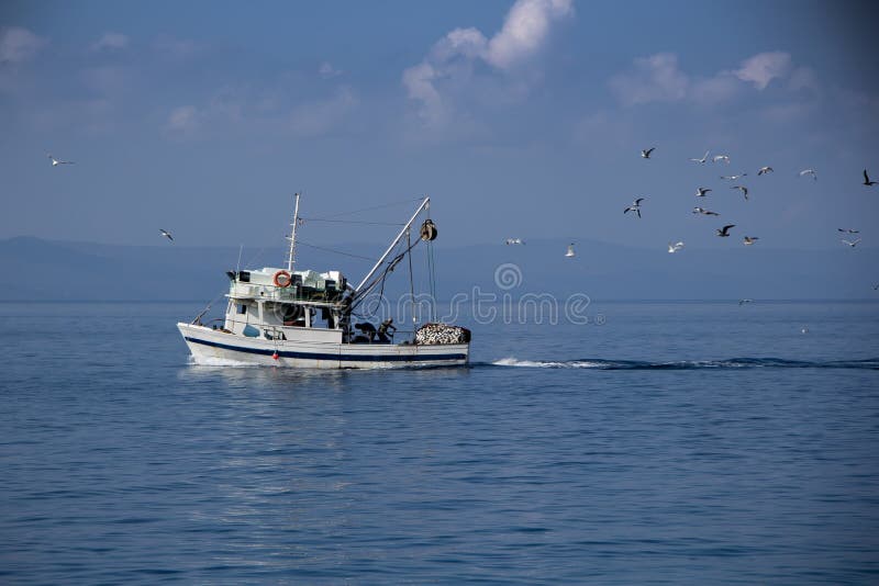 Fishing boat and seagulls stock image. Image of nautical - 63153637
