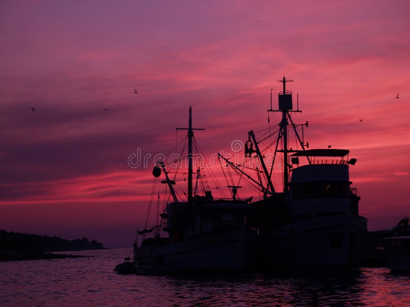 Fishing Boat at Sunset stock image. Image of bird, orange - 23715957