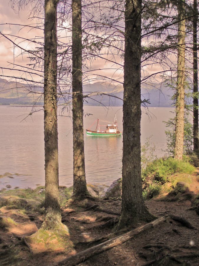 Fishing Boat between the Trees Stock Photo - Image of ship, england ...