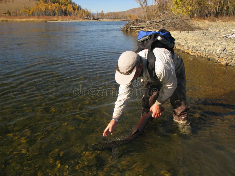 Fishing catch and release stock image. Image of peace - 21996247