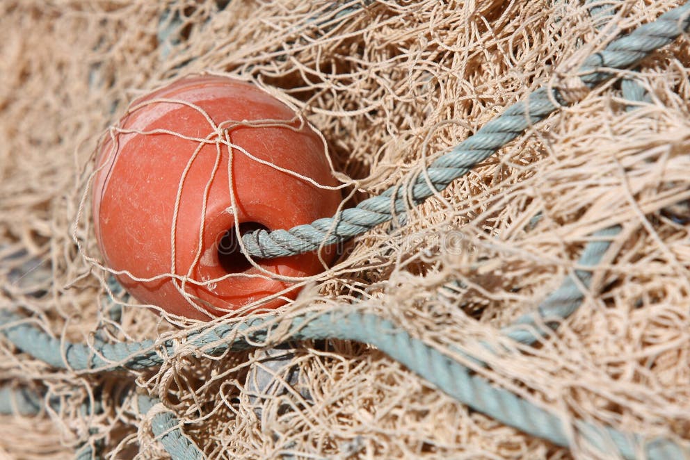 Fishing chain stock photo. Image of spruce, streamer, pole - 9109042