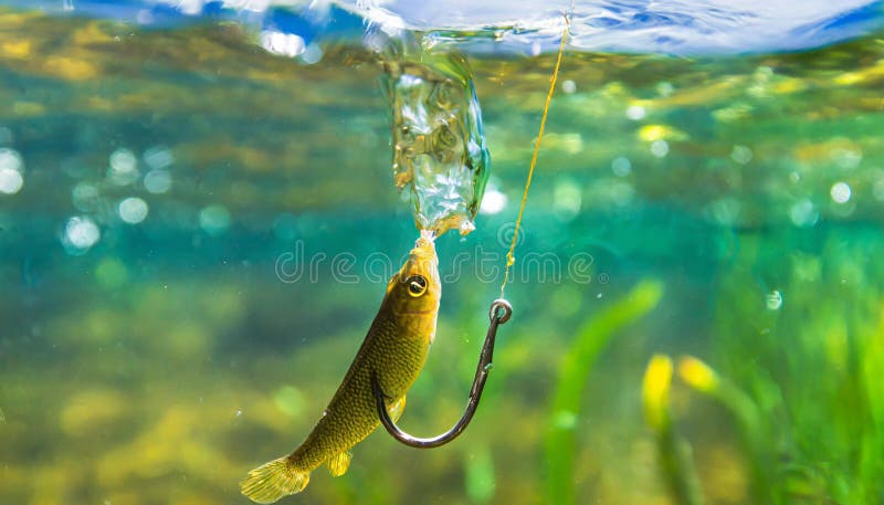 Fishing. Close-up Shut of a Fish Hook Under Water Stock Illustration - Illustration of rest ...