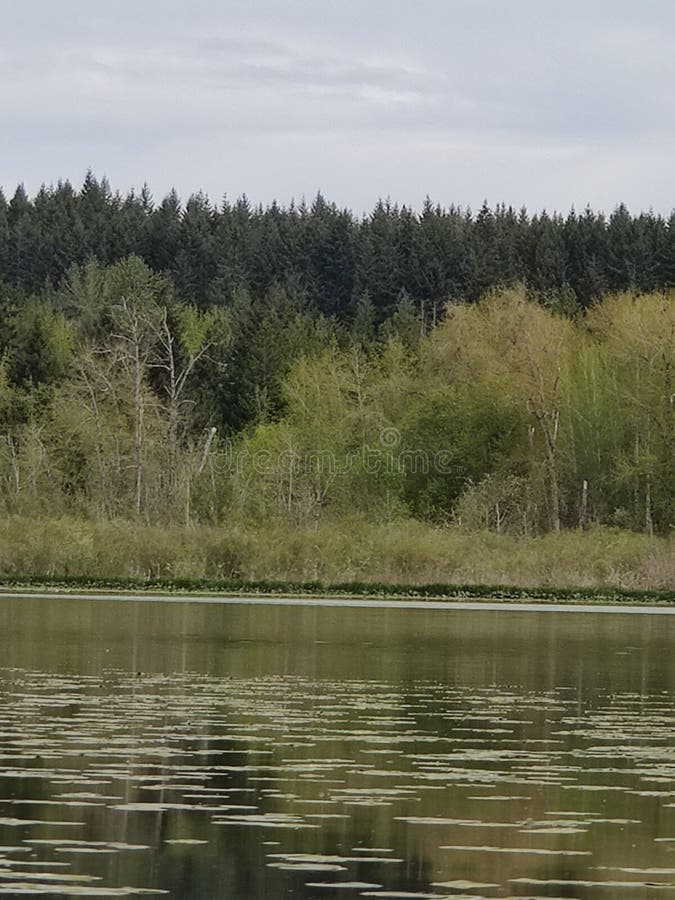 Fishing Clouds Outdoors Lake Camping Stock Image - Image of monochrome ...