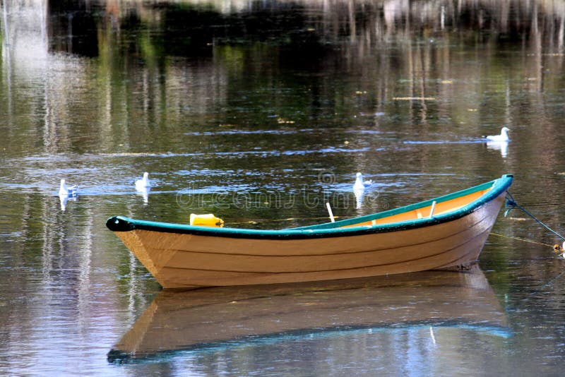 Fishing Dory stock image. Image of swift, newfoundland - 14537291