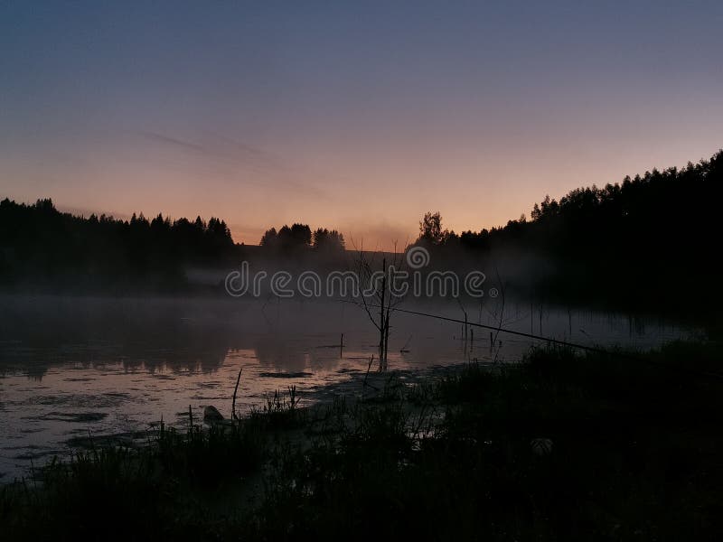 Fishing in the Early Morning Stock Image - Image of plant, morning ...