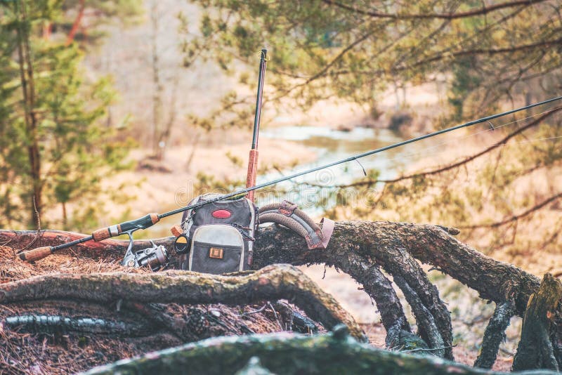 Flyfishing in Forest during Eco-tourism Stock Photo - Image of catch ...