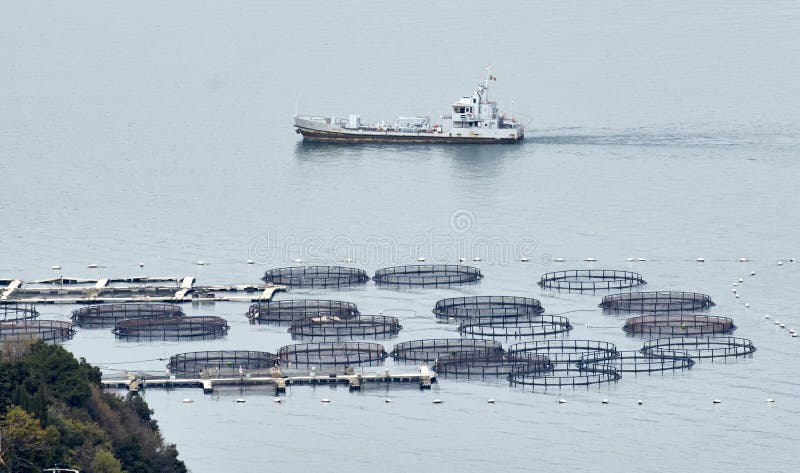 Fishing farm in the sea stock photo. Image of boat, farming - 78905982