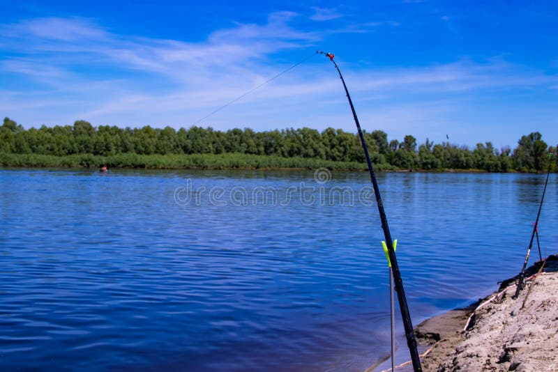 Fishing on the Feeder on the Shore of a Beautiful River Stock Image ...
