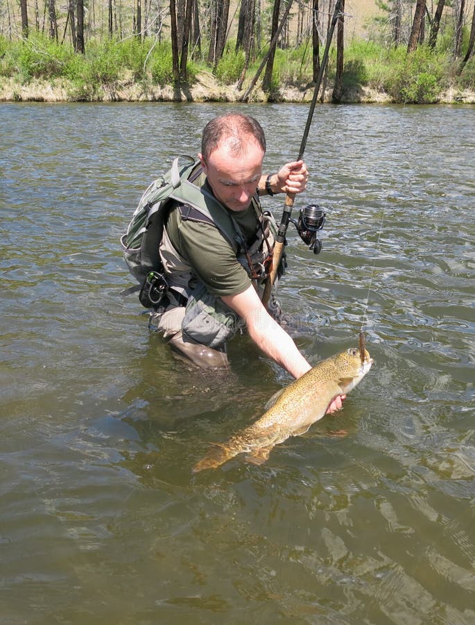 Fishing stock image. Image of catch, early, leisure, catching - 93151053