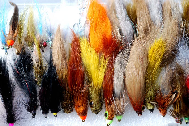 Fly fishing stock image. Image of pole, clear, spinner - 2608965