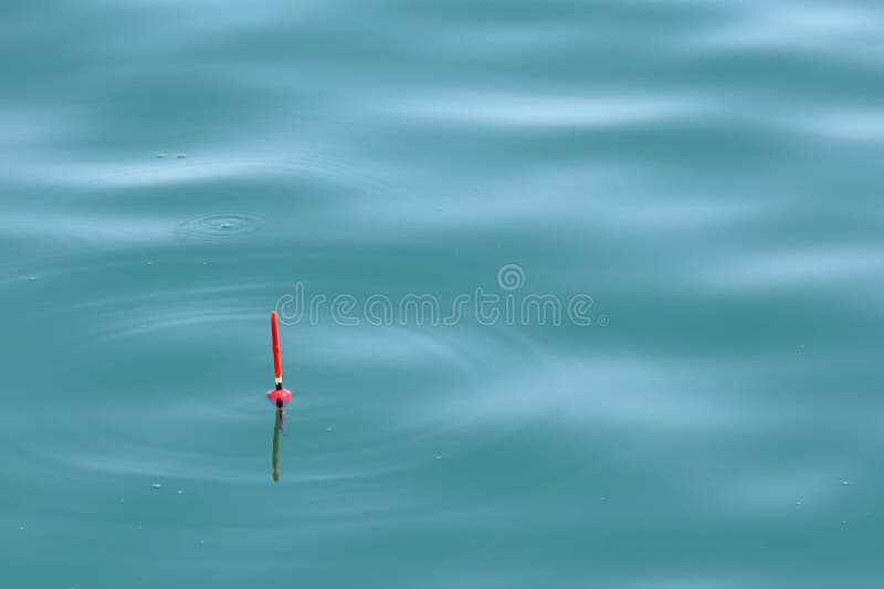Fishing Float in the Blue Pond Water . Stock Photo - Image of fishing ...