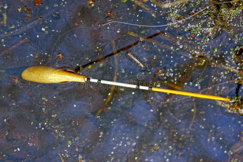 Fishing Float on a Line in the Water Stock Photo - Image of summer ...