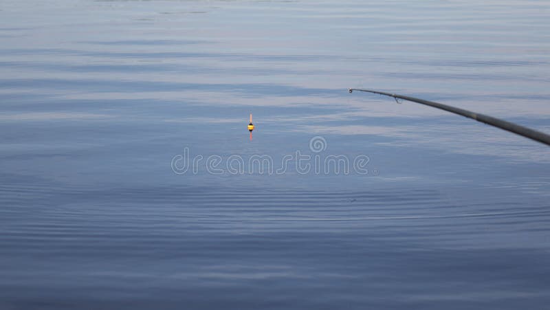Fishing with a Float Rod on the Water. Stock Photo - Image of fresh ...