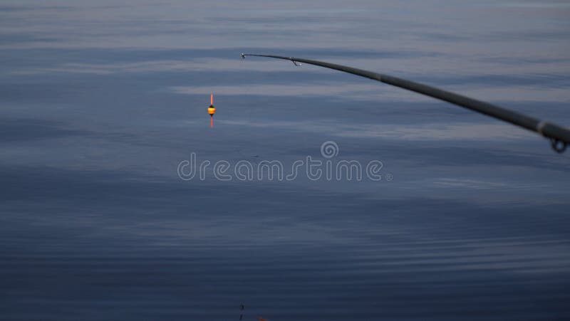 Fishing with a Float Rod on the Water Stock Photo - Image of sport ...