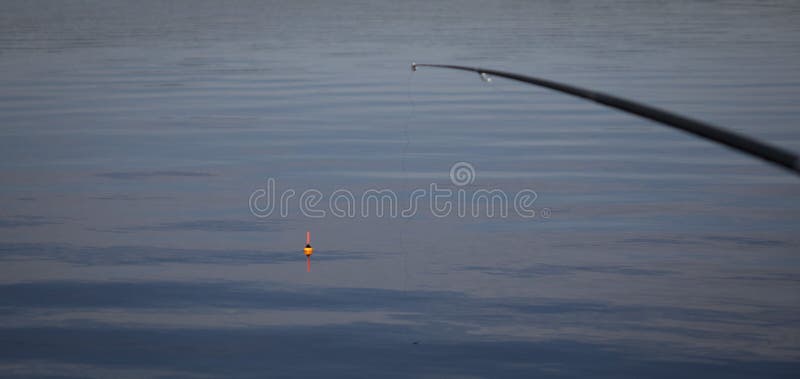 Fishing with a Float Rod on the Water Stock Photo - Image of bobber ...