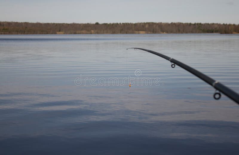 Fishing with a Float Rod on the Water Stock Photo - Image of summer ...