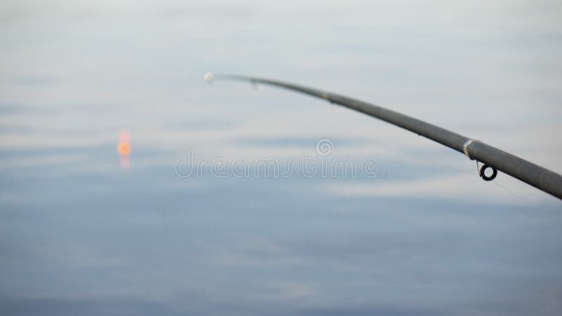 Fishing with a Float Rod on the Water Stock Photo - Image of relax ...