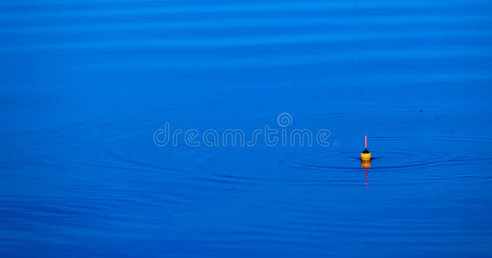 Fishing Float on the Water. Fishing with a Float Rod on the Water Stock ...