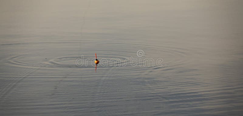 Fishing Float on the Water. Fishing with a Float Rod on the Water Stock ...