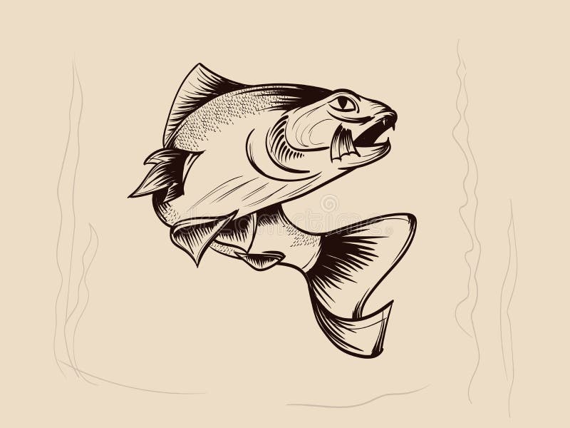 Fishing. Hand Drawn Vector Fish. Sketch Trout, Carp, Tuna, Herring ...