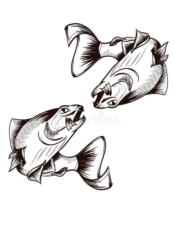 Fishing. Hand Drawn Vector Fish. Sketch Trout, Carp, Tuna, Herring ...