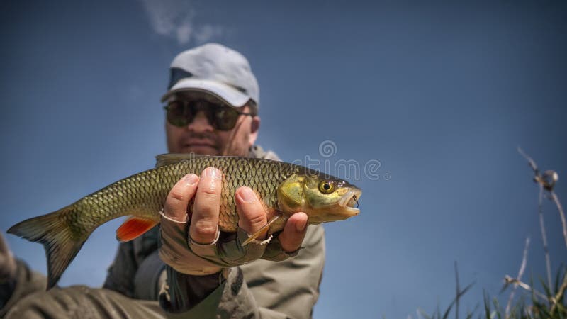 Fishing. Happy Angler with Fish Stock Photo - Image of trophy, adult ...