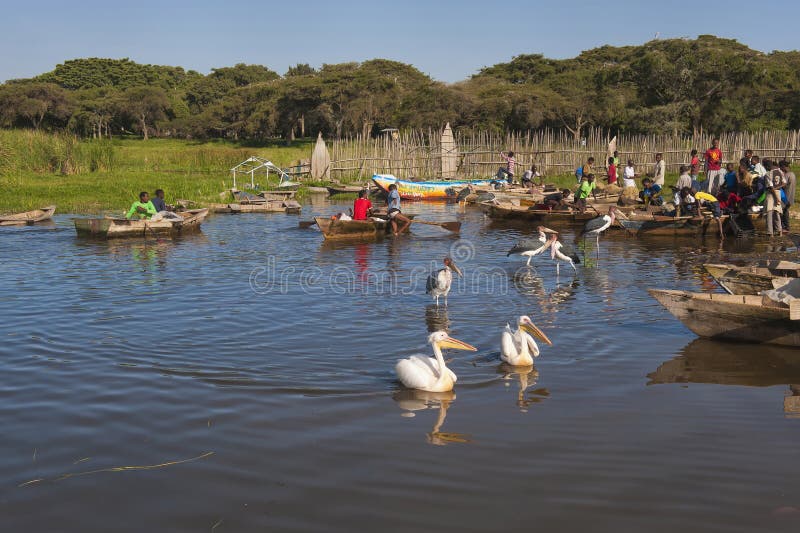 Fishing Harbor, Awasa, Ethiopia Editorial Image - Image of great ...