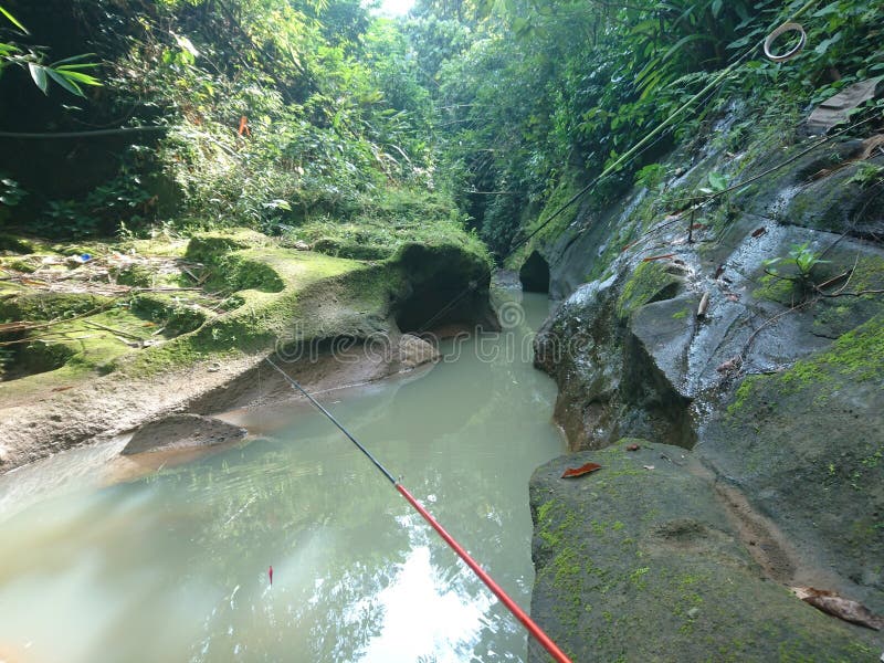 Fishing in heaven on earth stock photo. Image of creek - 264235742