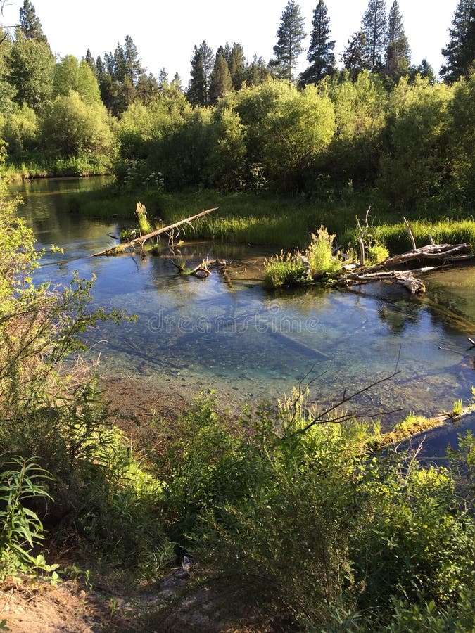 Fish Hatchery Rd, Hatch, Utah Stock Photo - Image of fishing, hatchery ...