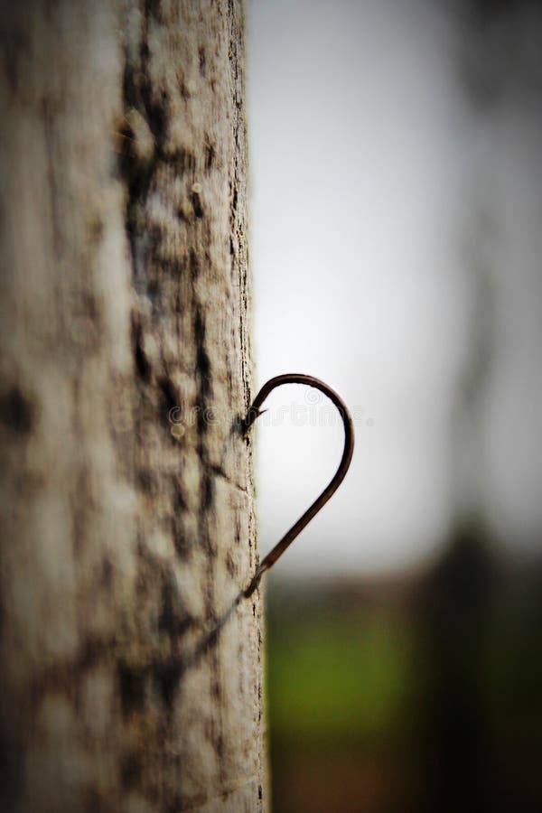 Fishing hook stock photo. Image of tool, sport, fishing - 79404868