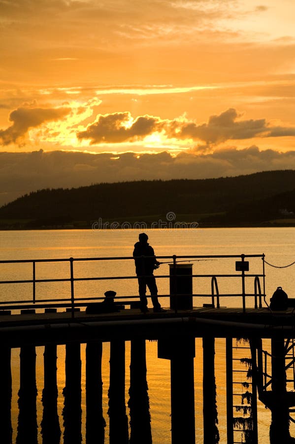 Fishing from the Jetty. stock photo. Image of trout, silver - 10465690