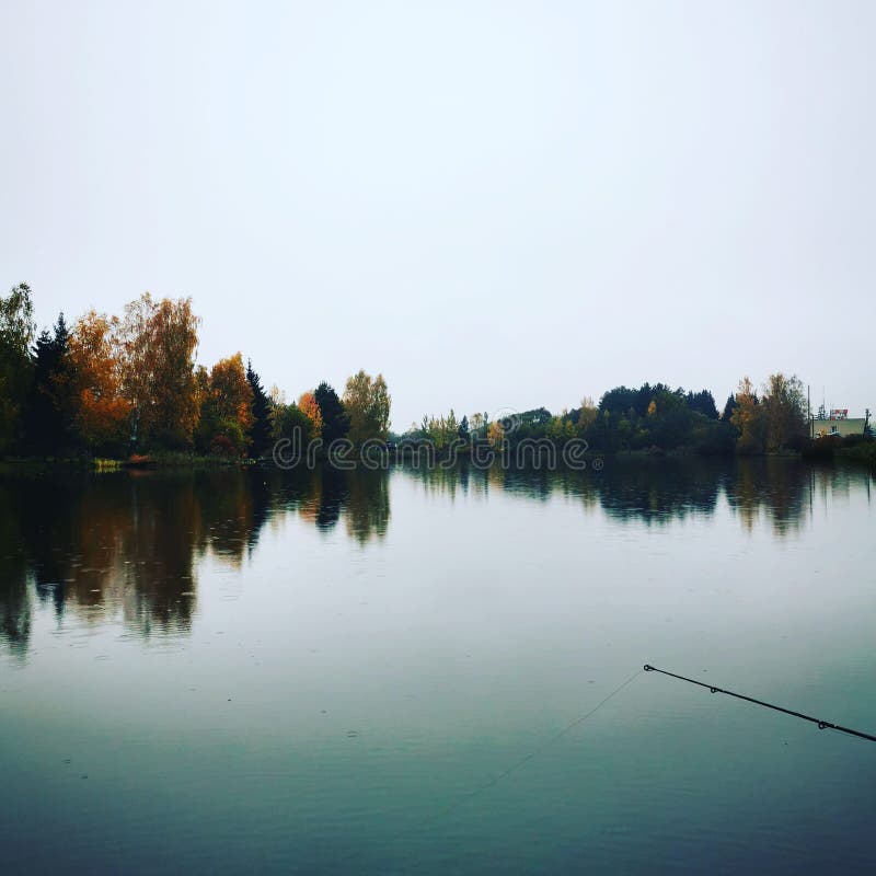 Fishing lake nature shrubs stock image. Image of fishing - 201505393