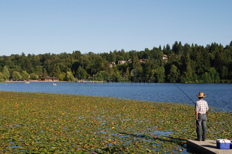 Fishing on lake stock photo. Image of serene, outdoors - 31929568