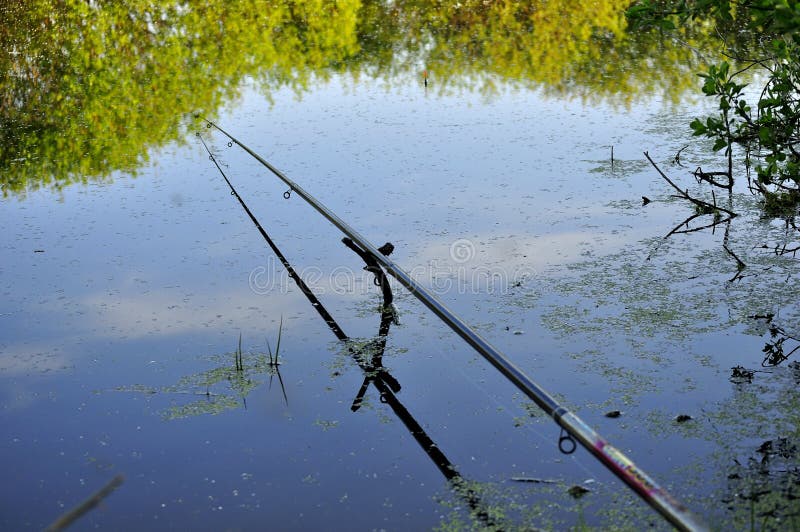 Fishing on the Lake, Fishing Rod with a Float on the Water Stock Image ...