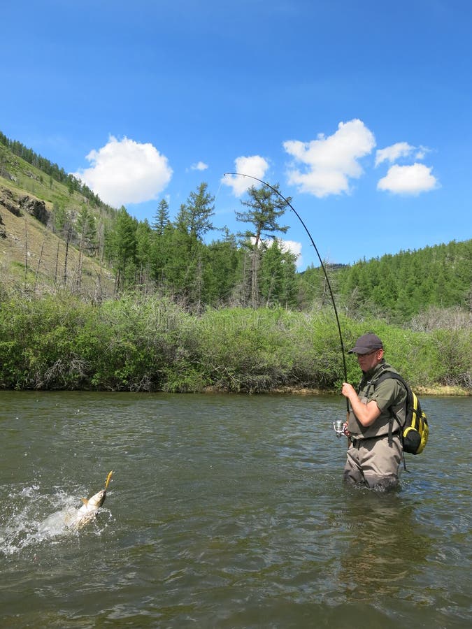 Fishing - lenok trout stock image. Image of blue, cultural - 95889347