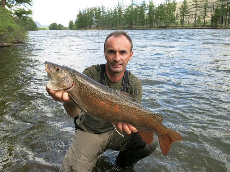 Fishing - lenok trout stock photo. Image of architecture - 96015620