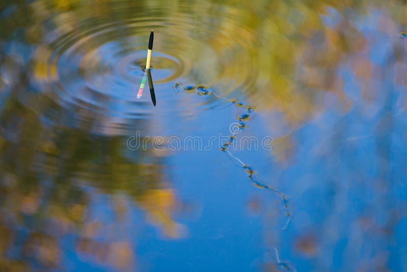 Fishing Line On Water Surface Stock Image - Image of autumn, water: 8412025