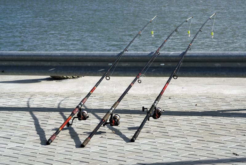 Fishing lines stock photo. Image of objects, guard, coils - 21163618
