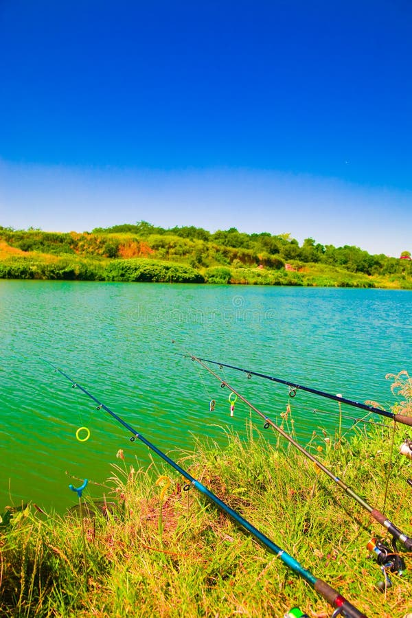 Fishing lines stock image. Image of sand, black, fishing - 5698527
