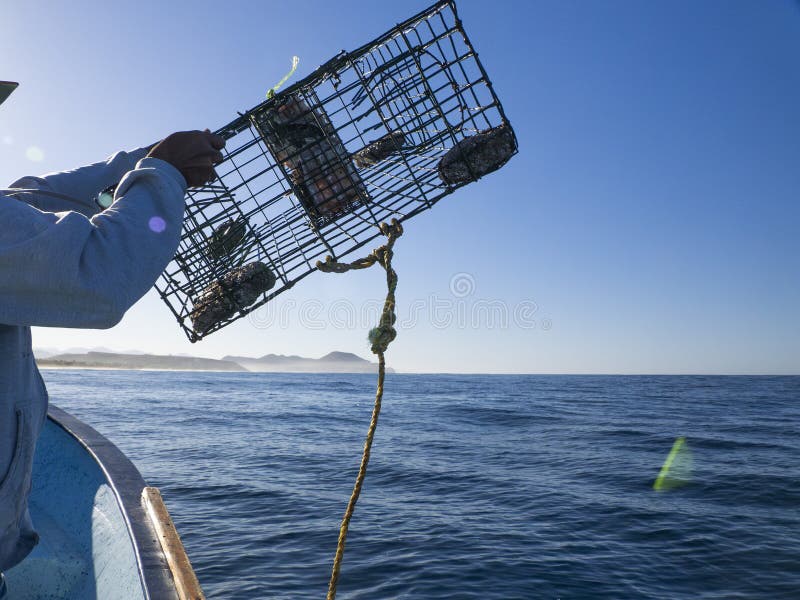 Fishing with Lobster Pot in Mexico Stock Image - Image of crayfish ...