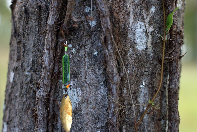 Fishing Lure Hanging in Tree Stock Image - Image of environment ...