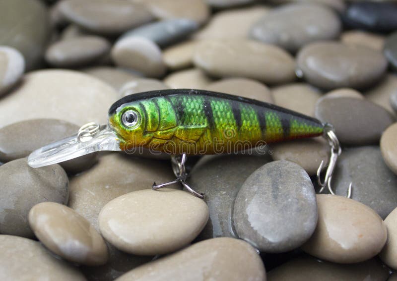 Fishing Lure stock photo. Image of nature, fish, beautiful - 37141274