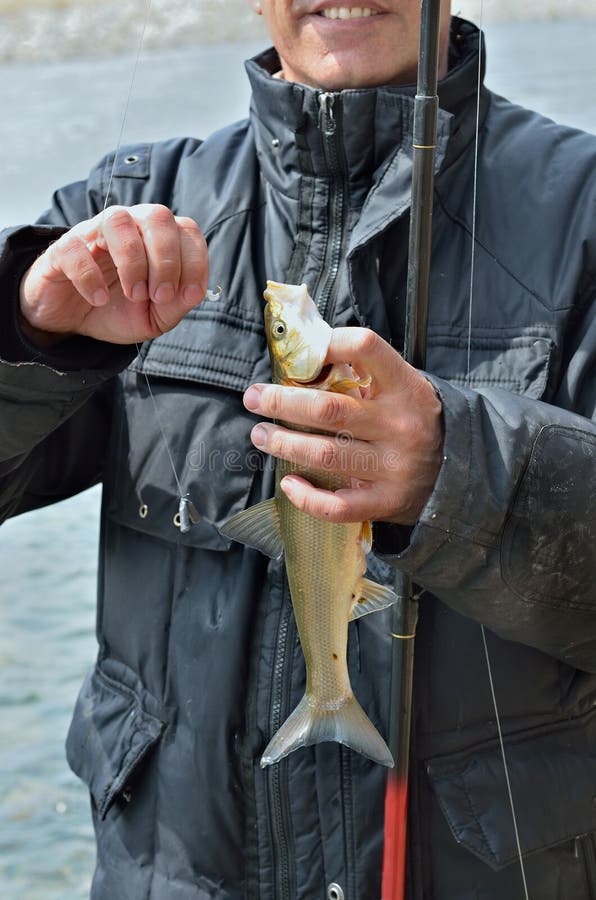 Fishing 12 stock image. Image of fishingtackle, catch - 34697429