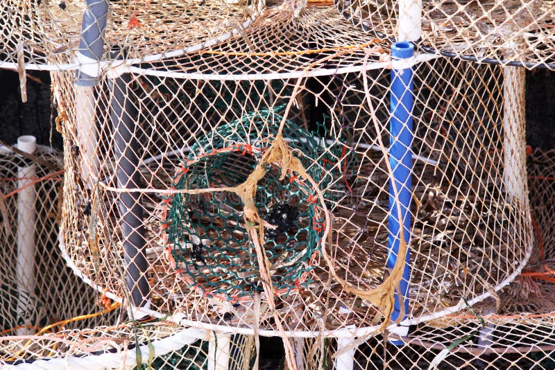 Fishing Net Picture. Image: 10106966