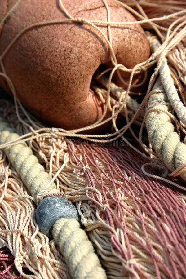 Fish Scales stock photo. Image of bodies, markets, market - 228488